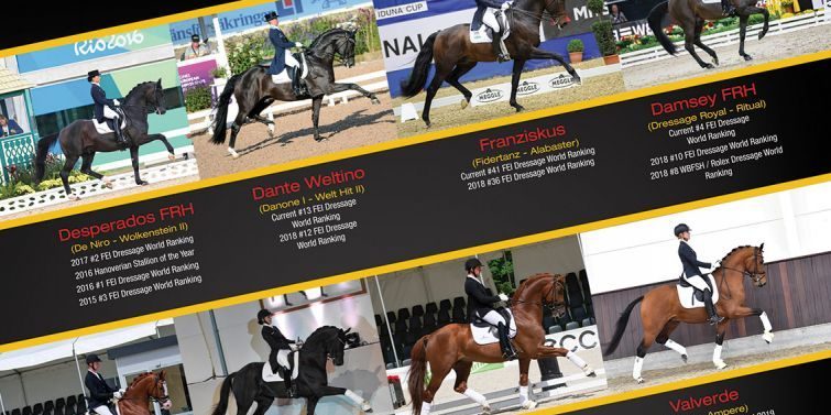 Welcome to the 2019 season – Elite Frozen Foals New Zealand