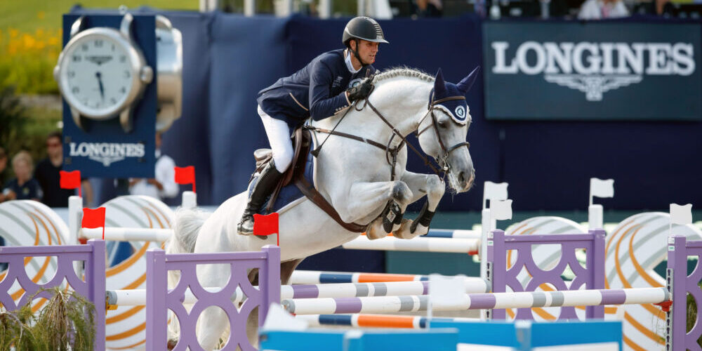 Final Shipment 2021 – Elite Frozen Foals New Zealand