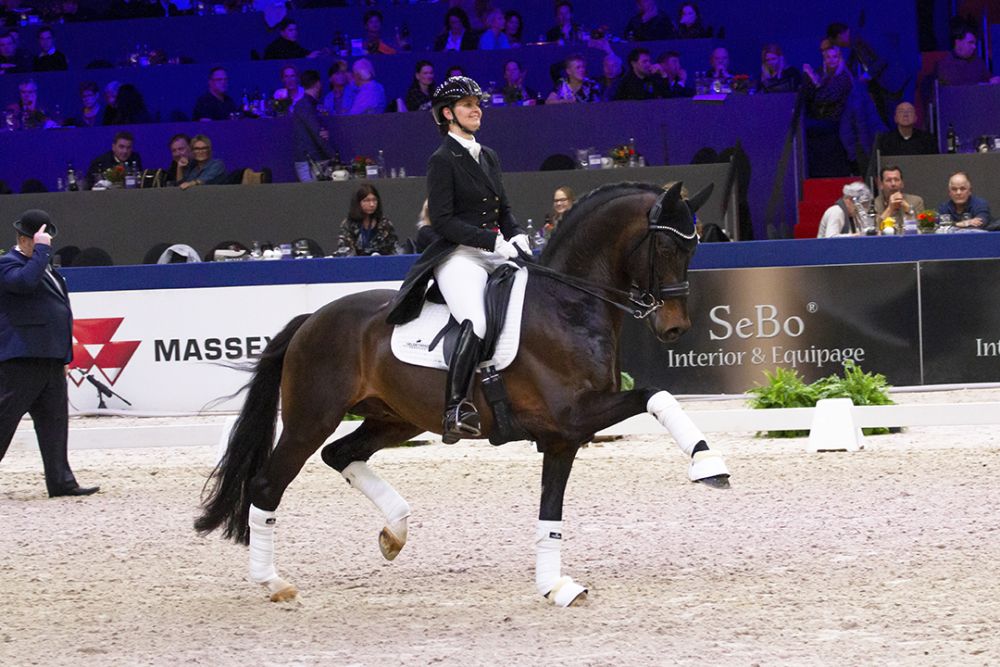 New stallions coming…. – Elite Frozen Foals New Zealand